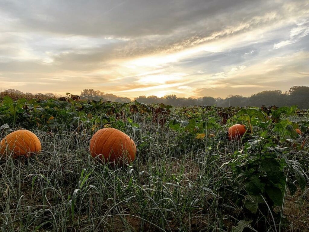 Cedar Hill Farm – An Award Winning Farm & Restaurant